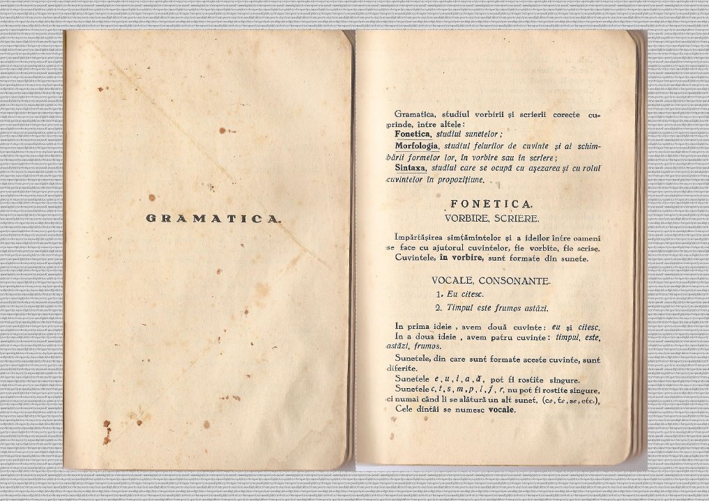 Gramatica. Carte Scolara Veche | PDF