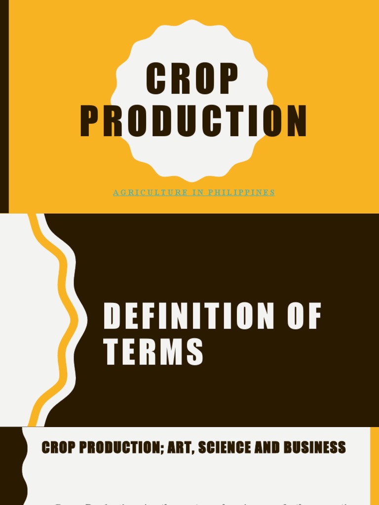 Crop Production: Agriculture in Philippines | PDF