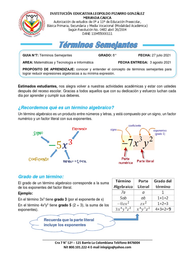 07-8 Terminos Semejantes | PDF | Densidad | Educación primaria