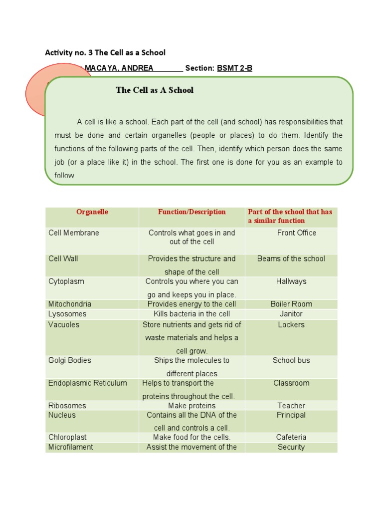 Activity No. 3 The Cell As A School (Module-1) | PDF | Cell (Biology ...