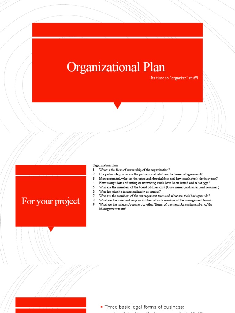 Organizational Structure and Management Plan | PDF | Chief Executive ...