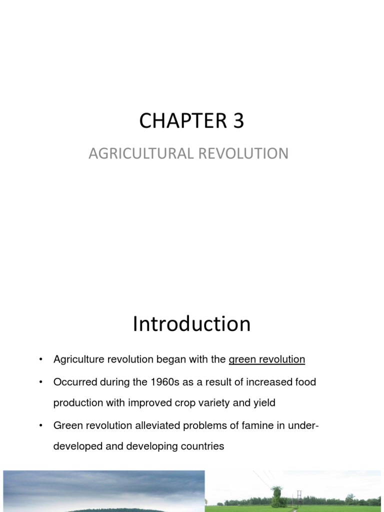 The Agricultural Revolution Sparked by the Green Revolution: Increased ...