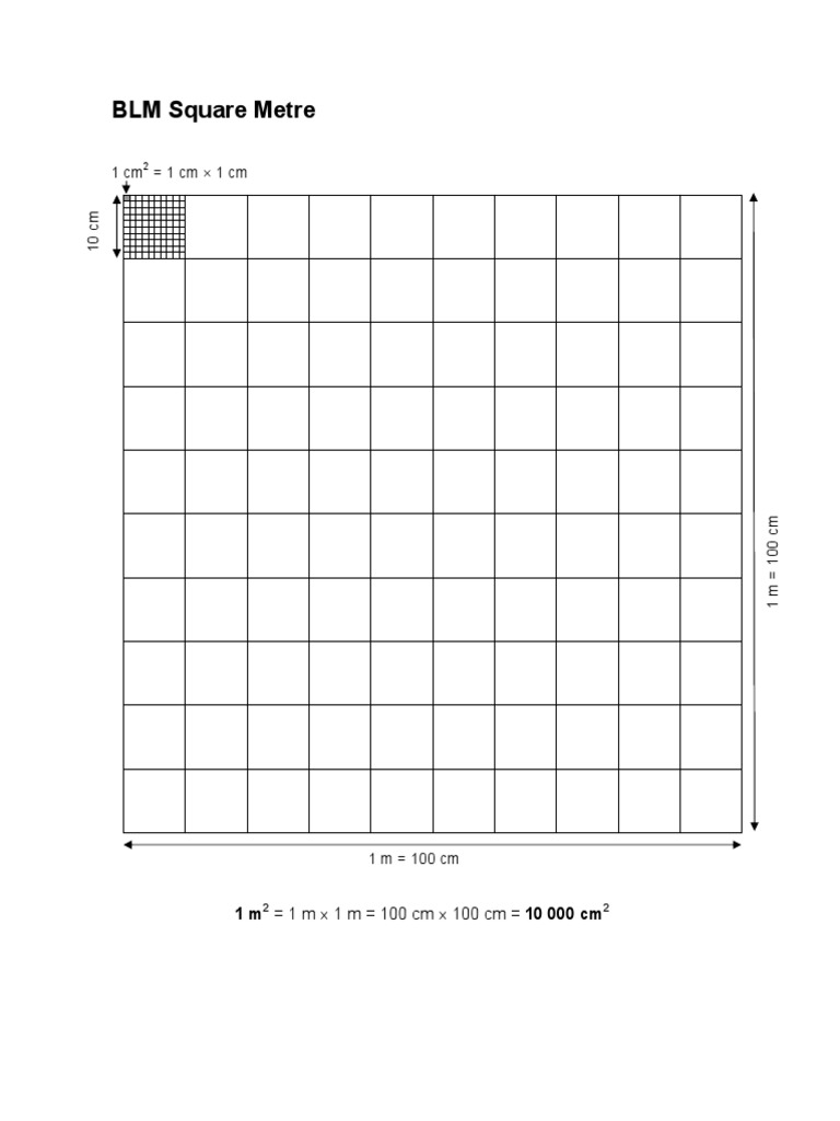 BLM Square Metre: 1 CM 1 CM × 1 CM | PDF | Area | Length