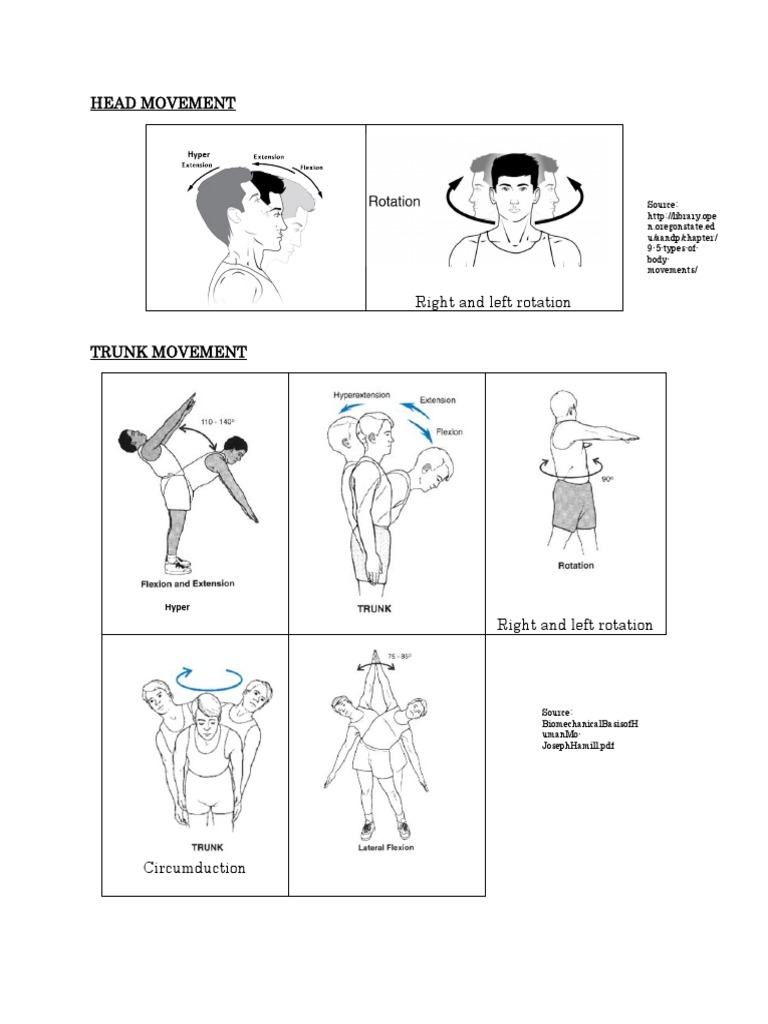 Type of Huma Movements Illustration | PDF | Anatomical Terms Of Motion ...