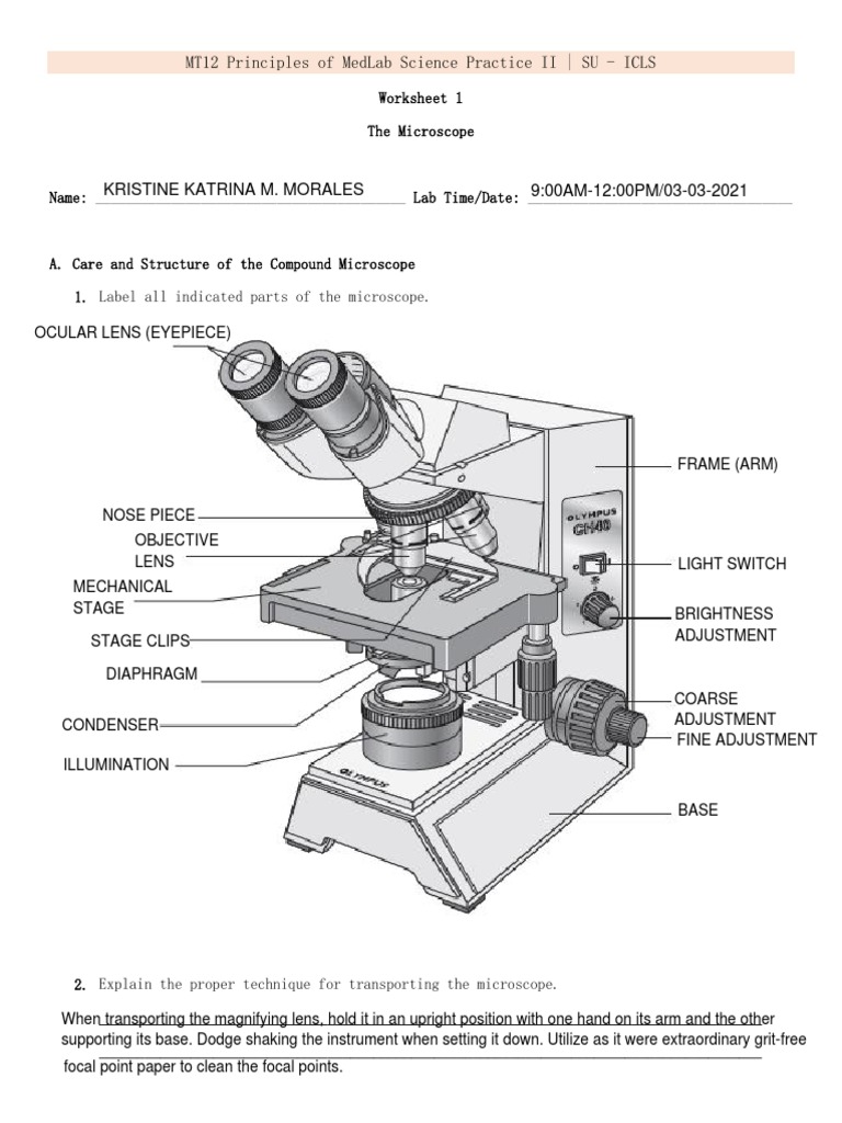 MT12 Microscope Worksheet | PDF | Laboratory Equipment | Natural Philosophy
