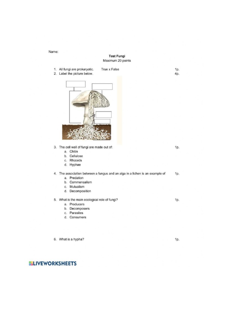 Fungi Worksheet 1 | PDF
