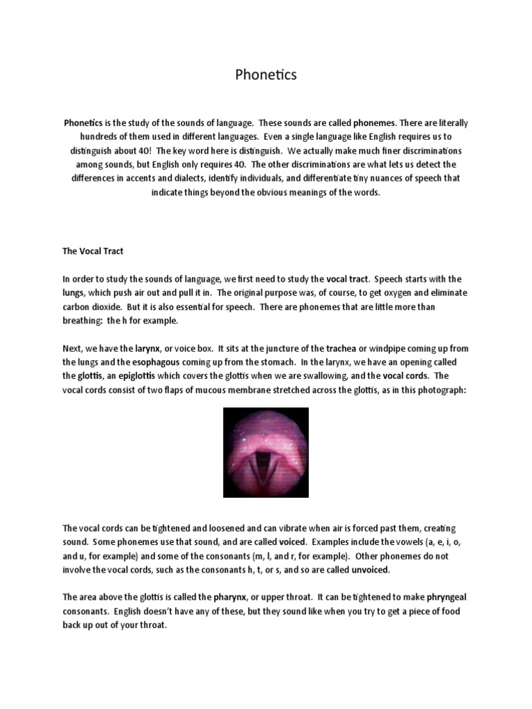 Phonetics Manual | PDF | Phonetics | Larynx