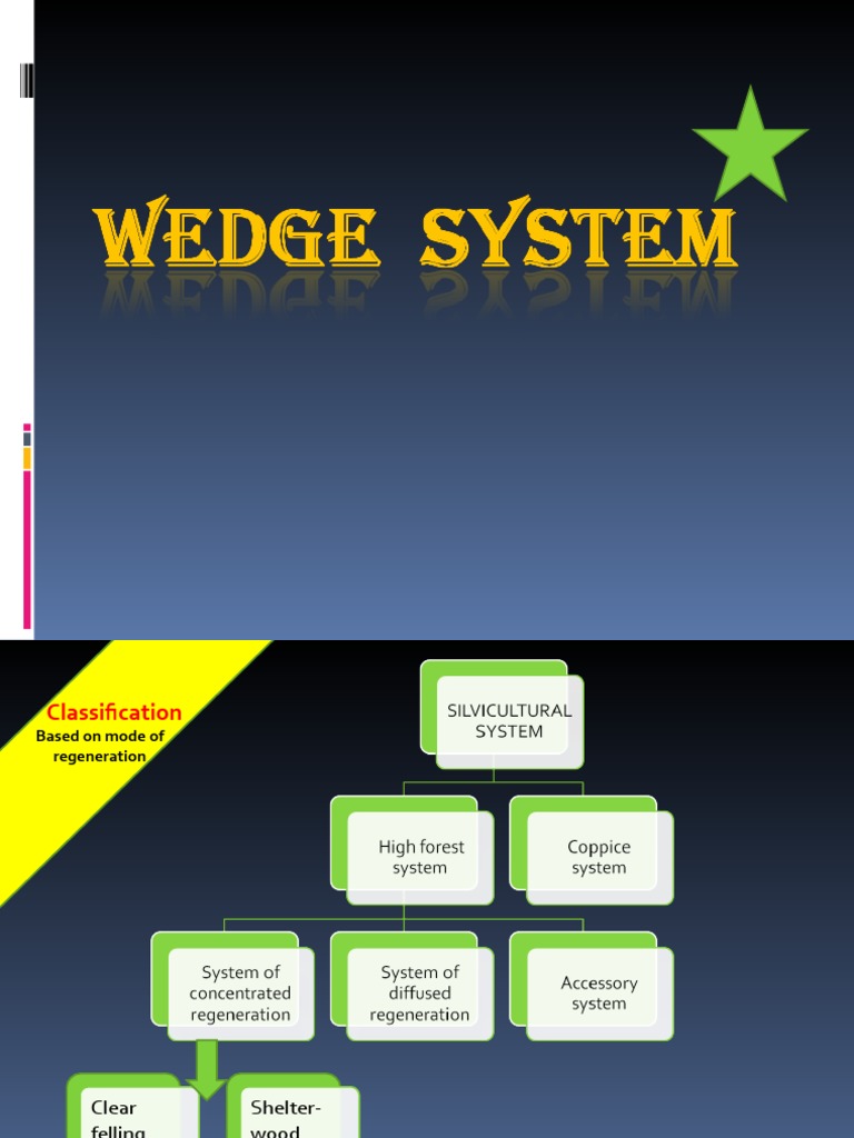 Wedge System | PDF