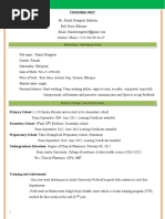 CV Format | PDF | Ethiopia