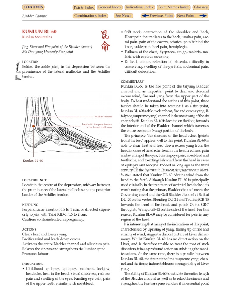 Kunlun BL-60: Bladder Channel Guide | PDF | Clinical Medicine ...