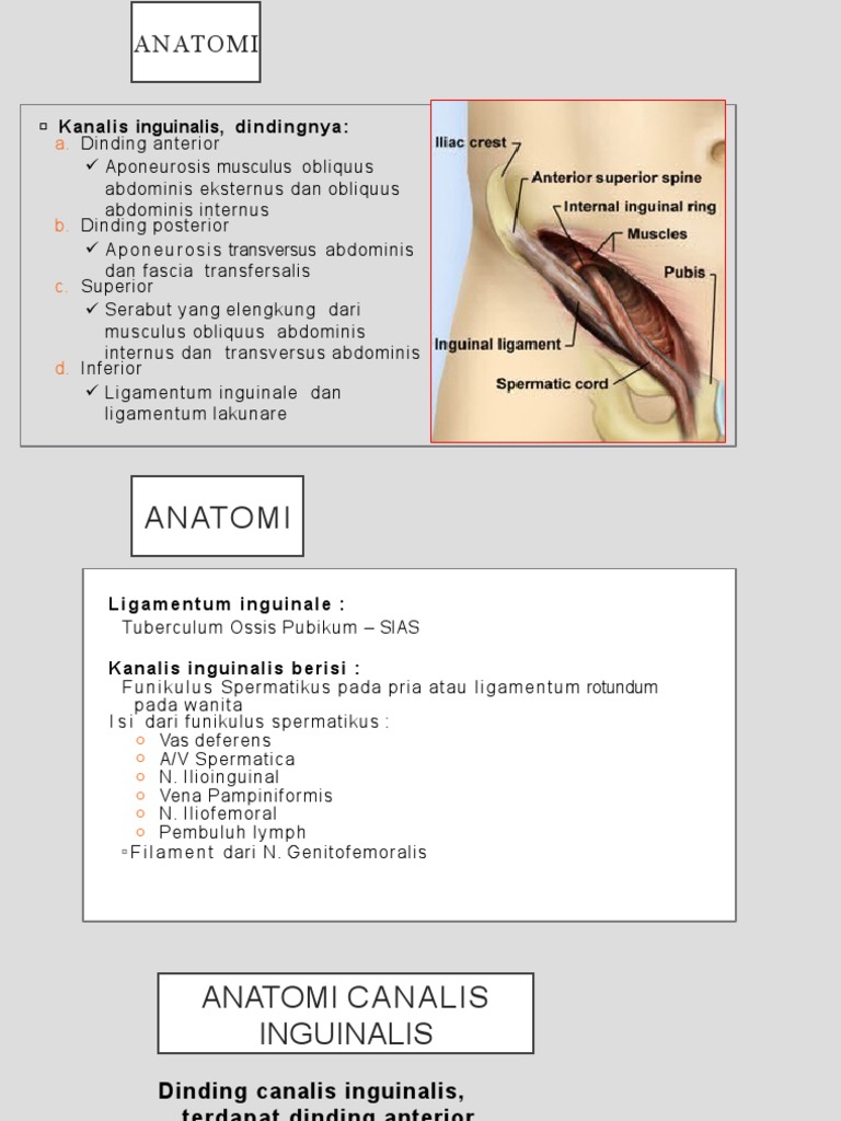 Hernia Inguinalis: Patofisiologi, Klasifikasi, Manifestasi Klinis, Diagnosis dan Penatalaksanaan ...