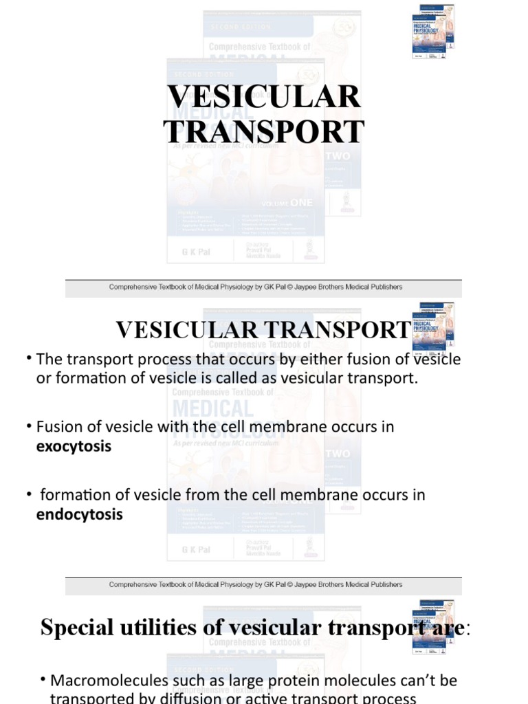 Overview of Vesicular Transport Processes | PDF | Vesicle (Biology And ...