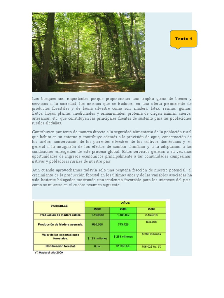 Importancia de Los Bosques | PDF | Los bosques | Arboles