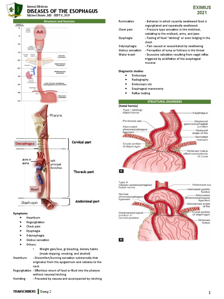 Diseases of Esophagus. | PDF | Esophagus | Heartburn