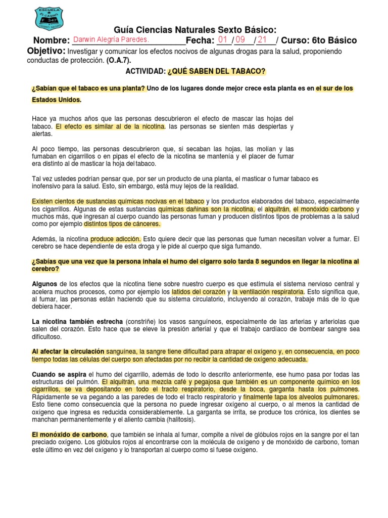 Componentes Del Cigarrillo 6to Básico. | PDF | Sistema circulatorio ...