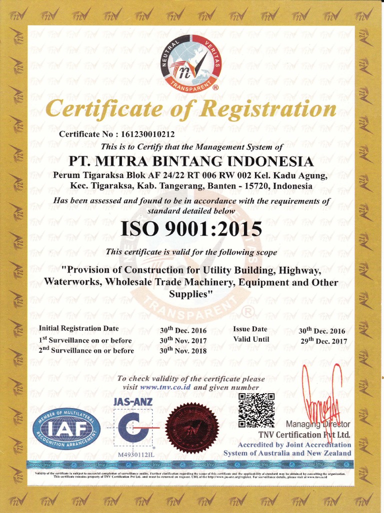 Iso 9001 | PDF