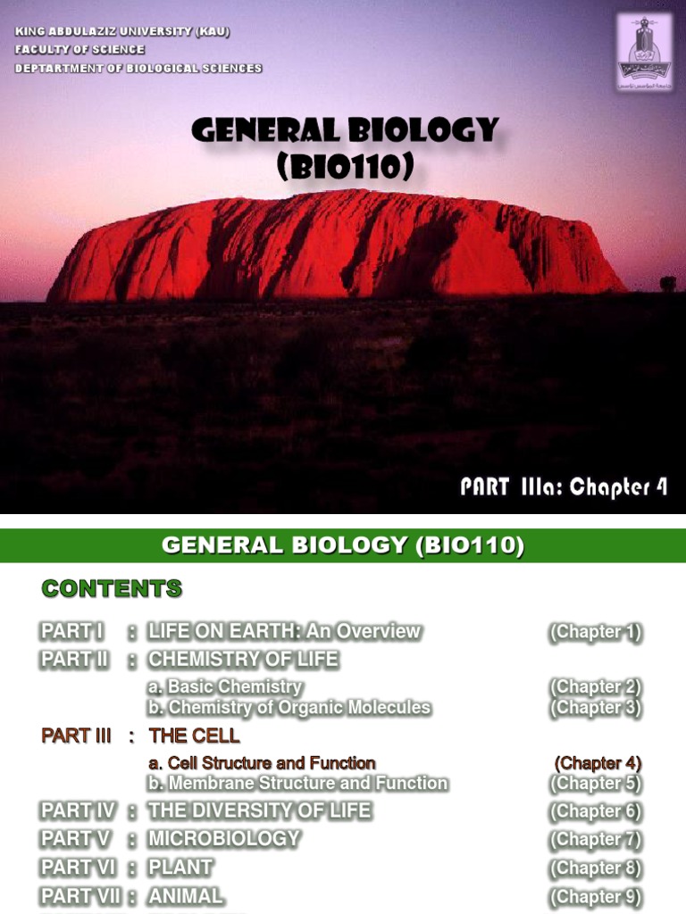 Bio110-Chapter 4 - T1S2022 | PDF | Cell (Biology) | Eukaryotes