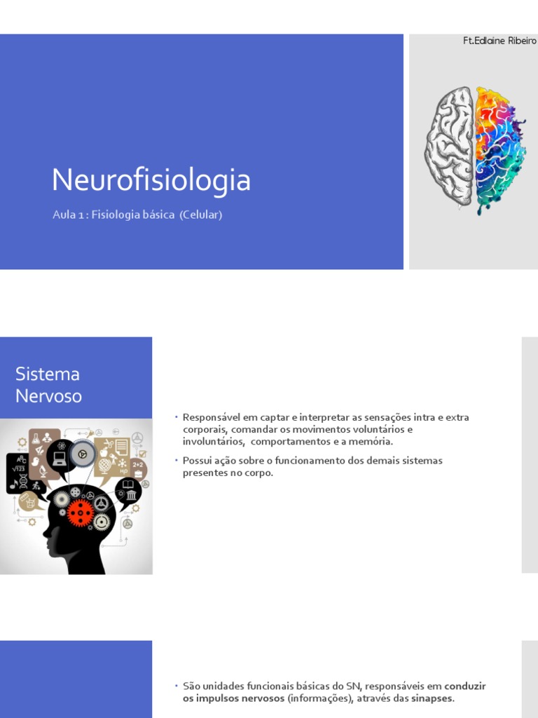 Neurofisiologia | PDF | Telencéfalo | Sistema nervoso central