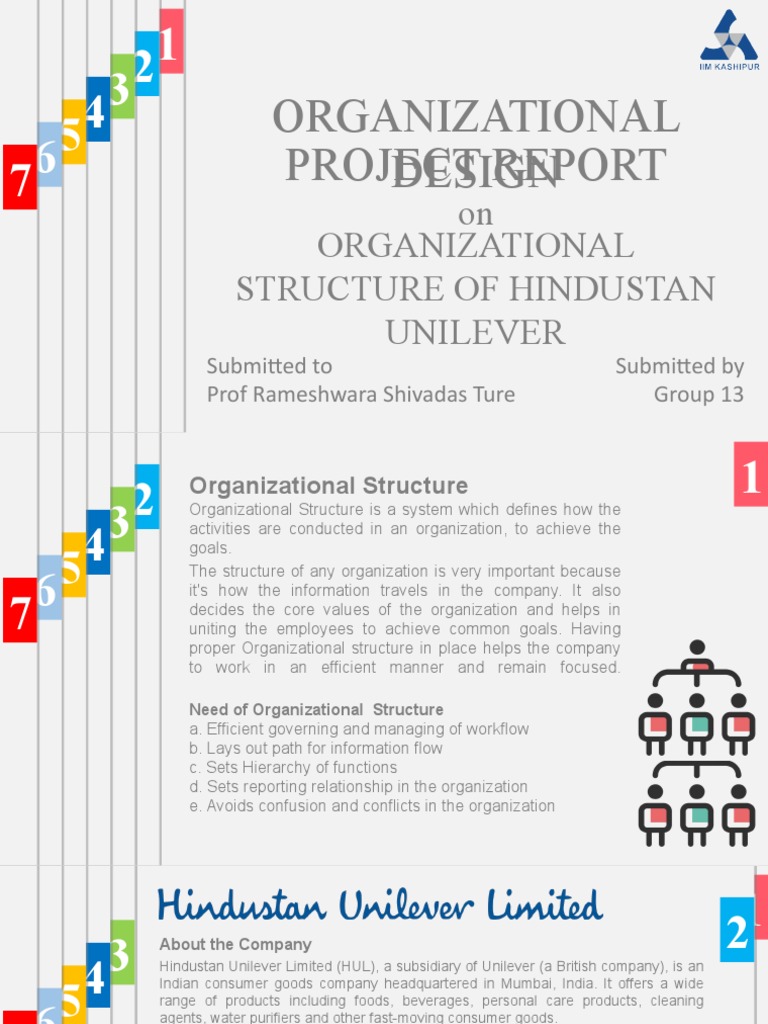 Hindustan Unilever Organizational Structure | PDF | Unilever | Business