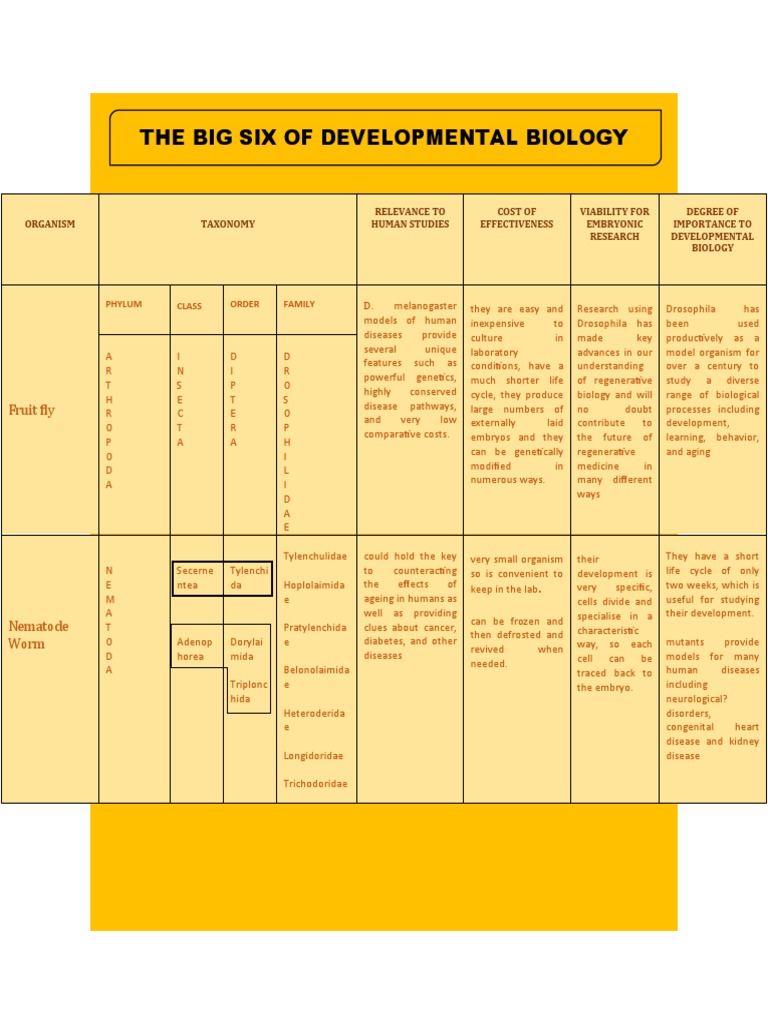 Developmental Biology Models | PDF | Embryo | Mouse