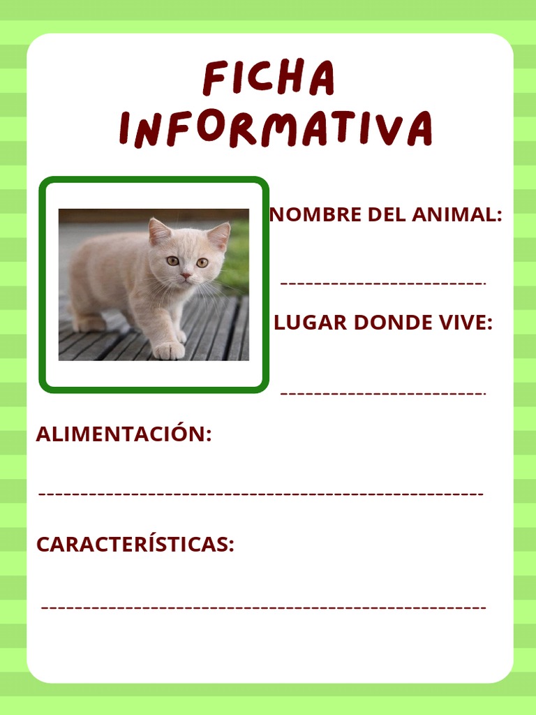 Ficha Informativa | PDF