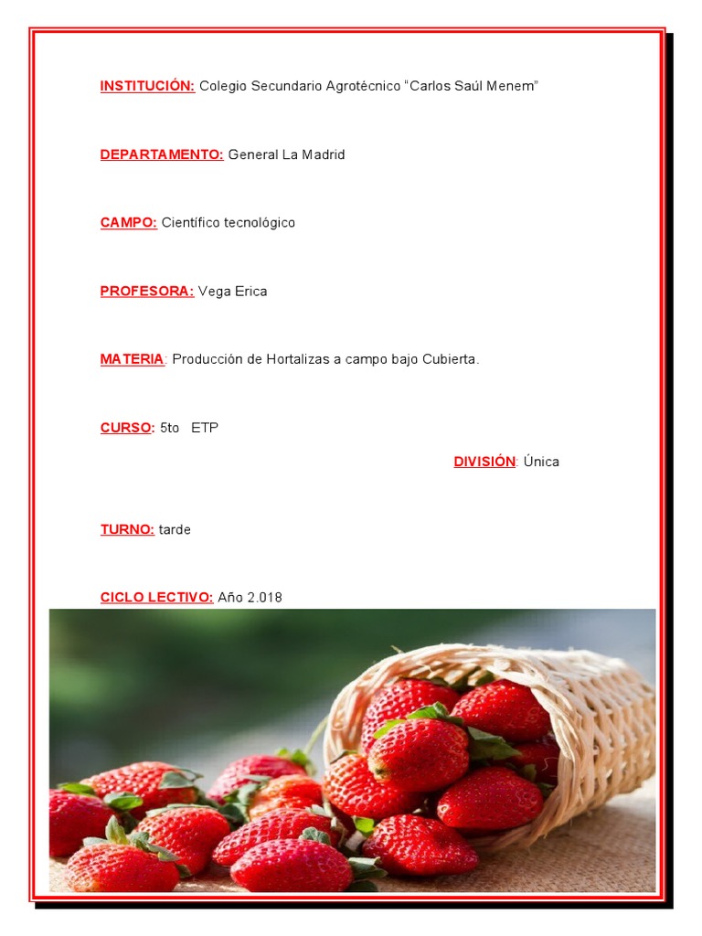 Hoja De Trabajo Sobre La Planta De Fresa