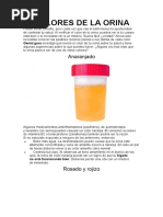 Ross Contra Grassi | PDF | Malaria | Microorganismo