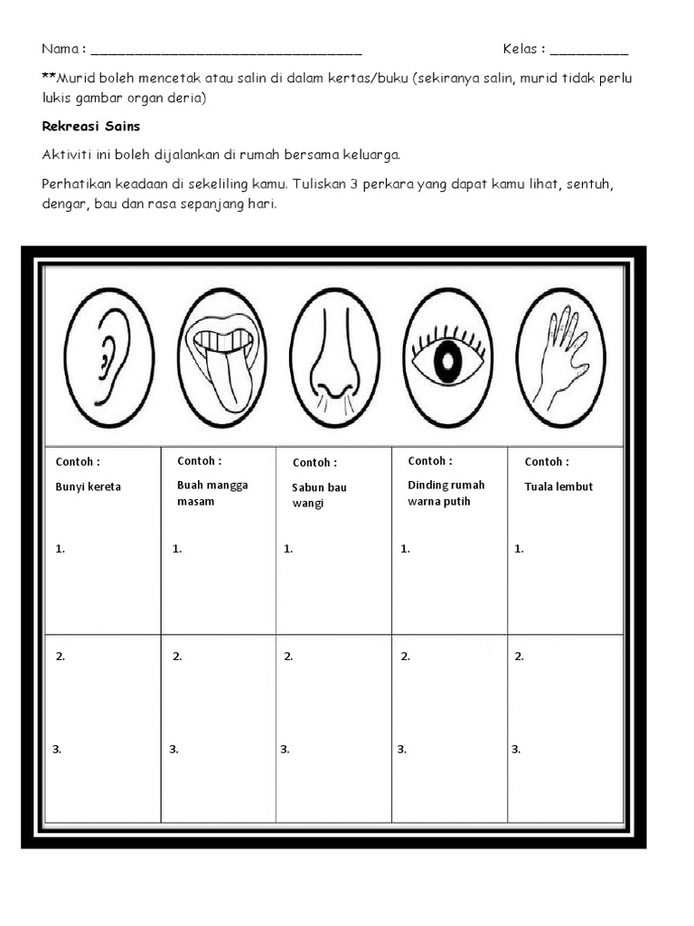 Rekreasi Sains Deria Manusia | PDF