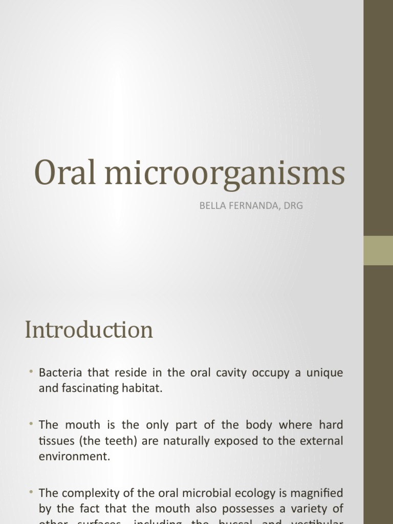 Oral Microorganisms: Bella Fernanda, DRG | PDF | Streptococcus | Biology
