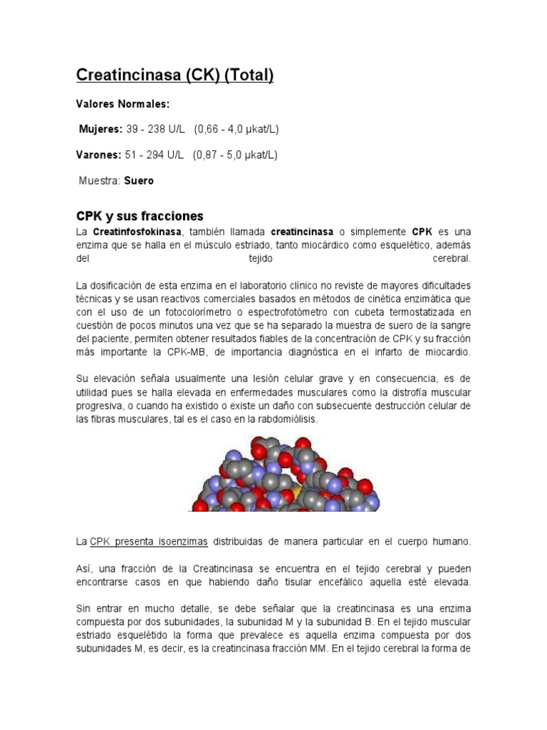 Creatincinasa | PDF | Músculo | Infarto de miocardio