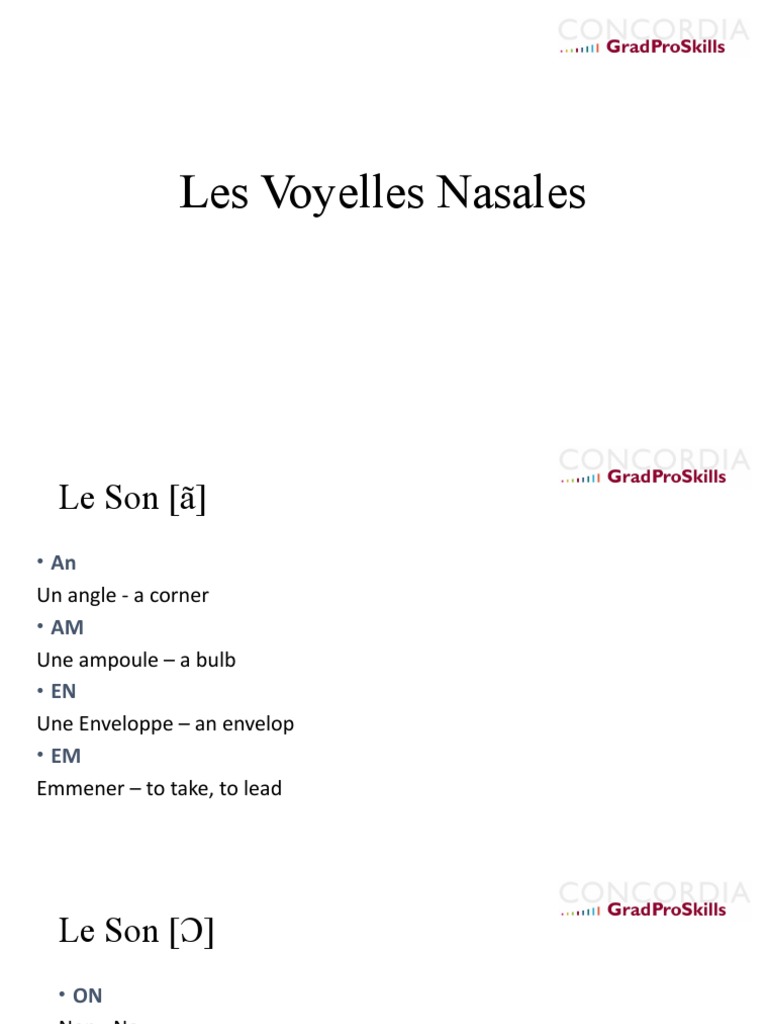 Maîtriser les Voyelles Nasales | PDF