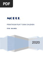 Meridian Paru Paru | PDF