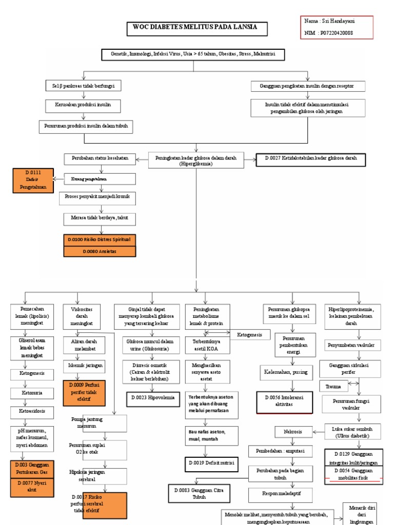WOC Diabetes Melitus pada Lansia | PDF