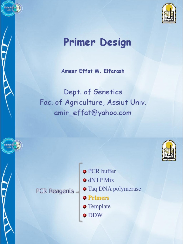 Primer Design | PDF | Primer (Molecular Biology) | Polymerase Chain ...