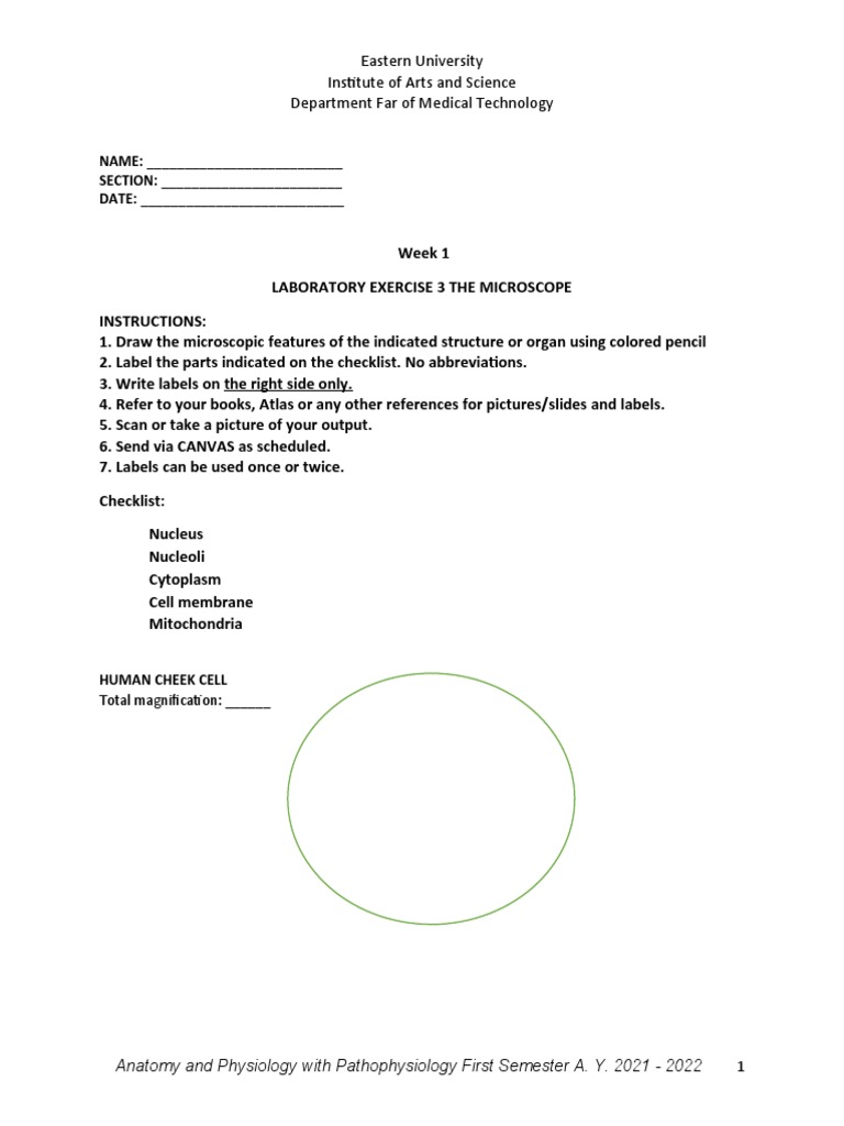Lab Exercise 3: Microscope Features | PDF | Wellness | Science ...