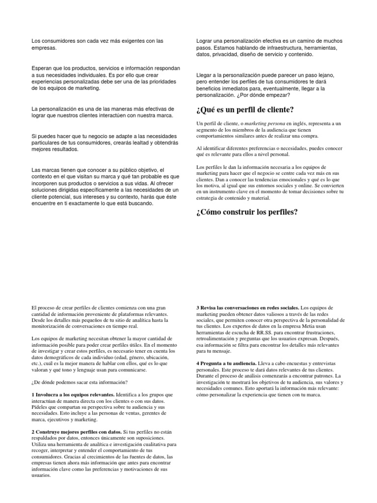 Creación de Perfiles de Clientes | PDF | Marketing | Cliente