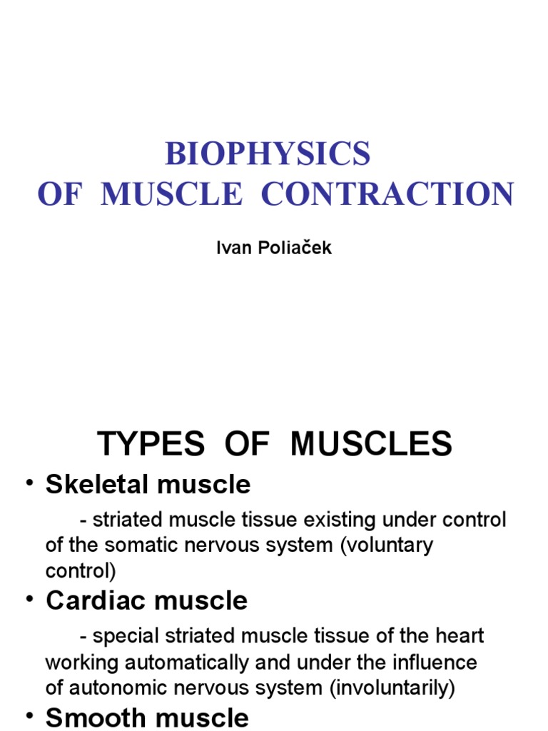 Biophysics of Muscle Contraction | PDF | Muscle Contraction | Skeletal ...