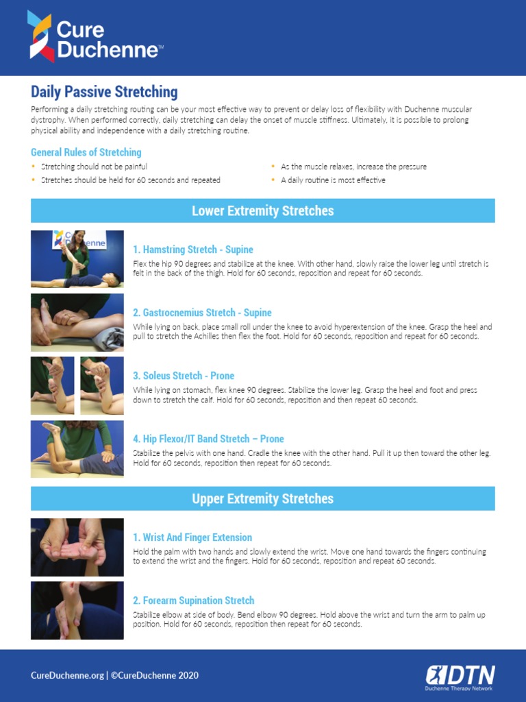 Daily Passive Stretching: Lower Extremity Stretches | PDF | Anatomical ...