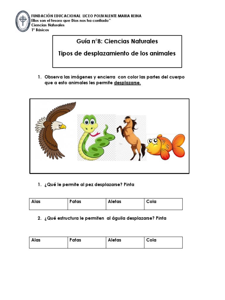 Guia 8 Primero Basico Ciencias Naturales | PDF