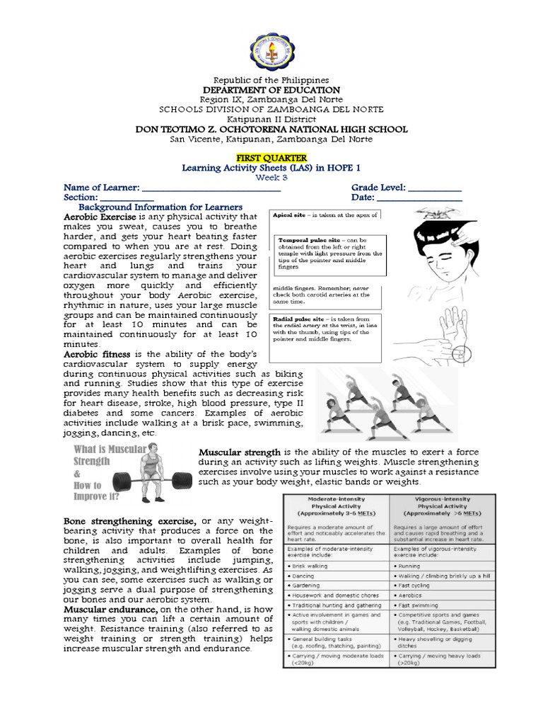 Domestic Physical Activity Examples | PDF | Weight Training | Aerobic ...