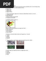 SOAL SENI RUPA - Ikat Dan Simpul | PDF | Metode & Bahan Ajar | Seni