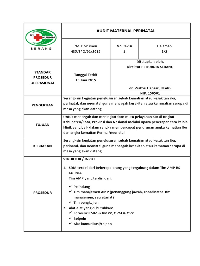 Audit Maternal Perinatal | PDF