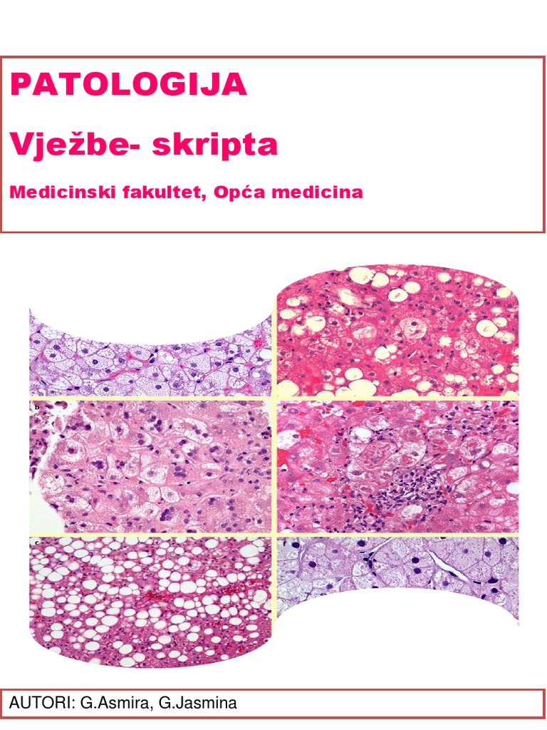 Patologija Vjezbe Skripta PDF | PDF