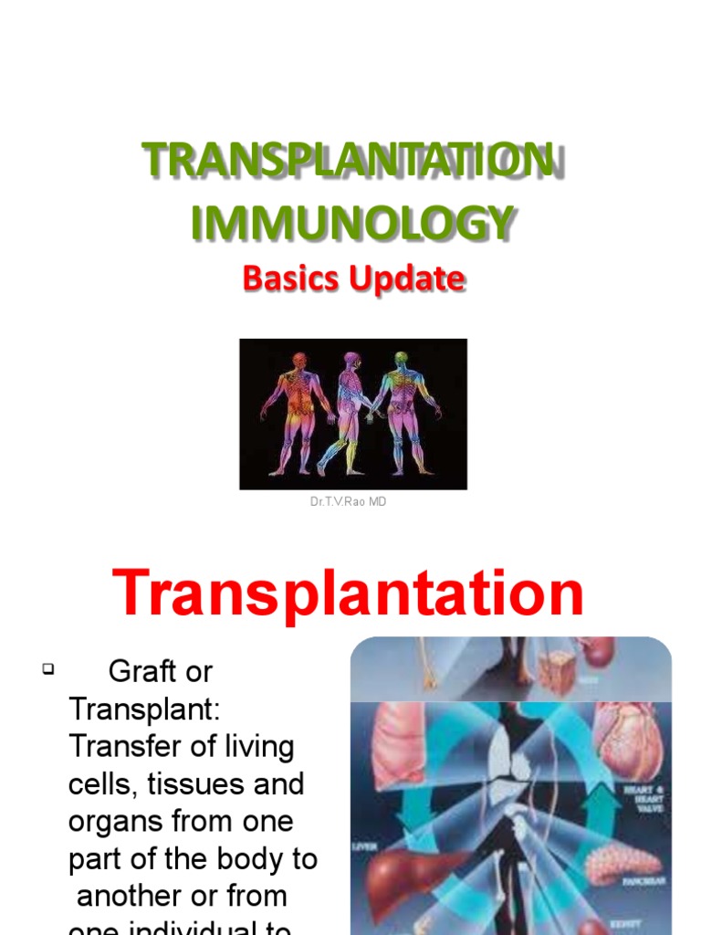 Transplantation Immunology: Basics Update | PDF | Transplant Rejection ...