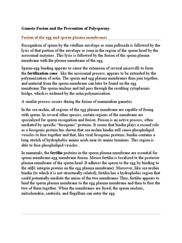 Gamete Fusion and The Prevention of Polyspermy | PDF | Fertilisation ...