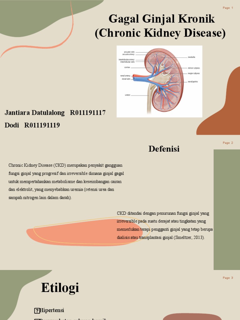 Gagal Ginjal Kronik KLP XVIII | PDF