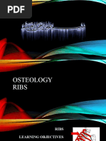 Costal Arch | PDF | Thorax | Thorax (Human Anatomy)