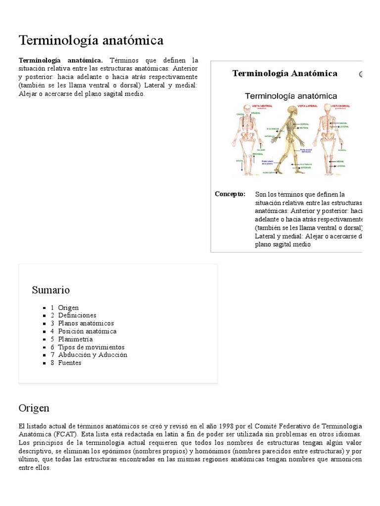 Terminología Anatómica - EcuRed | PDF | Términos anatómicos de ...