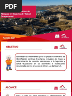 Paramox Inserto WEB | PDF | Diarrea | Microbiología