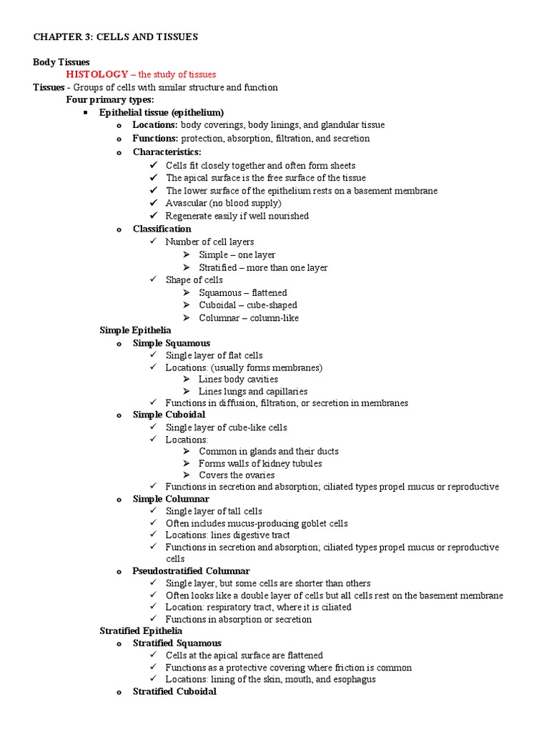 Chapter 3 Cells and Tissues | PDF | Epithelium | Tissue (Biology)